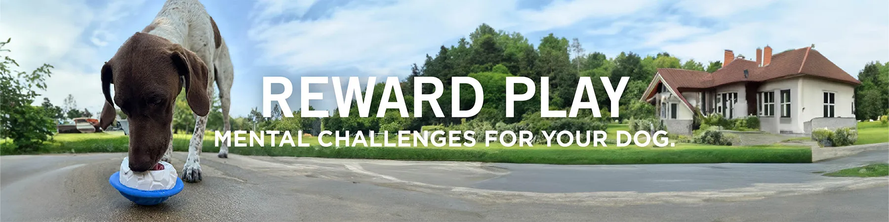 Dog Reward Toys for Hours of Interactive Play